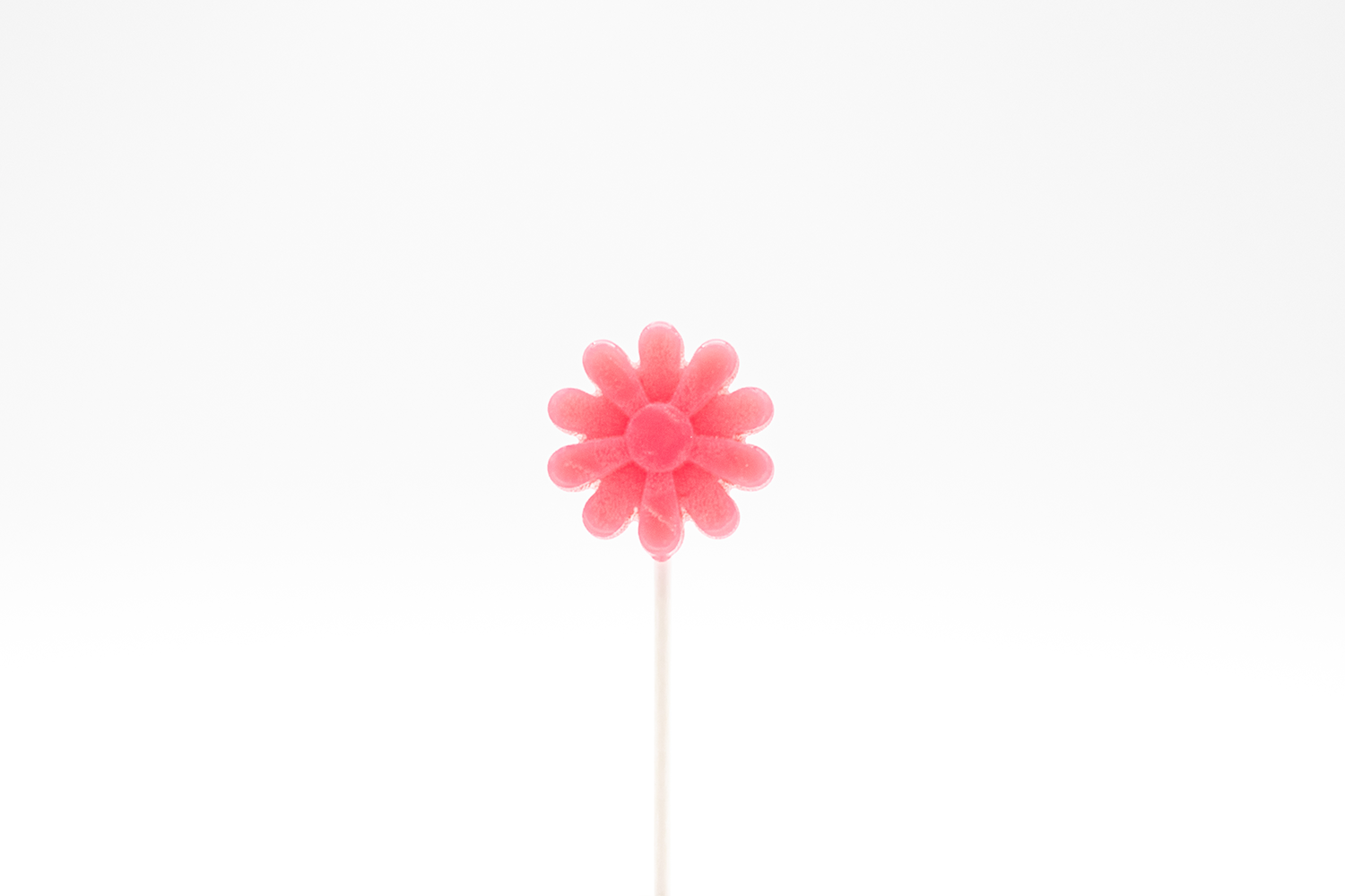 Original Lollipop Peach